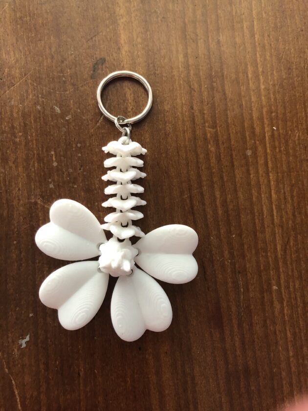 Flexi Rex Key-chain - Bohnafide